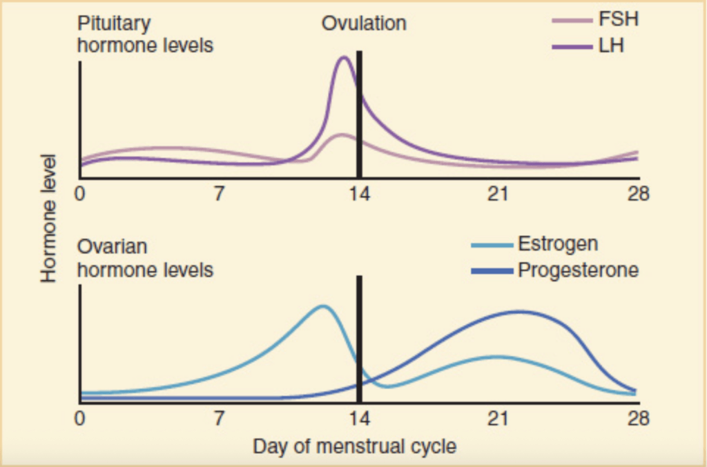 #352 ‒ Female fertility: optimizing reproductive health, diagnosing and ...